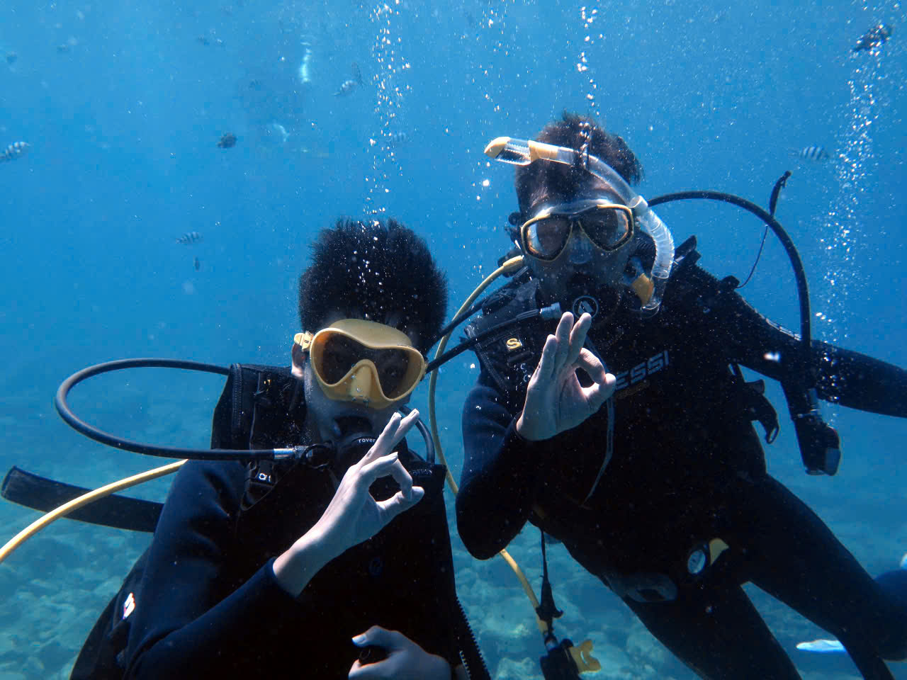 DISCOVER SCUBA DIVING - Sailing Club Divers